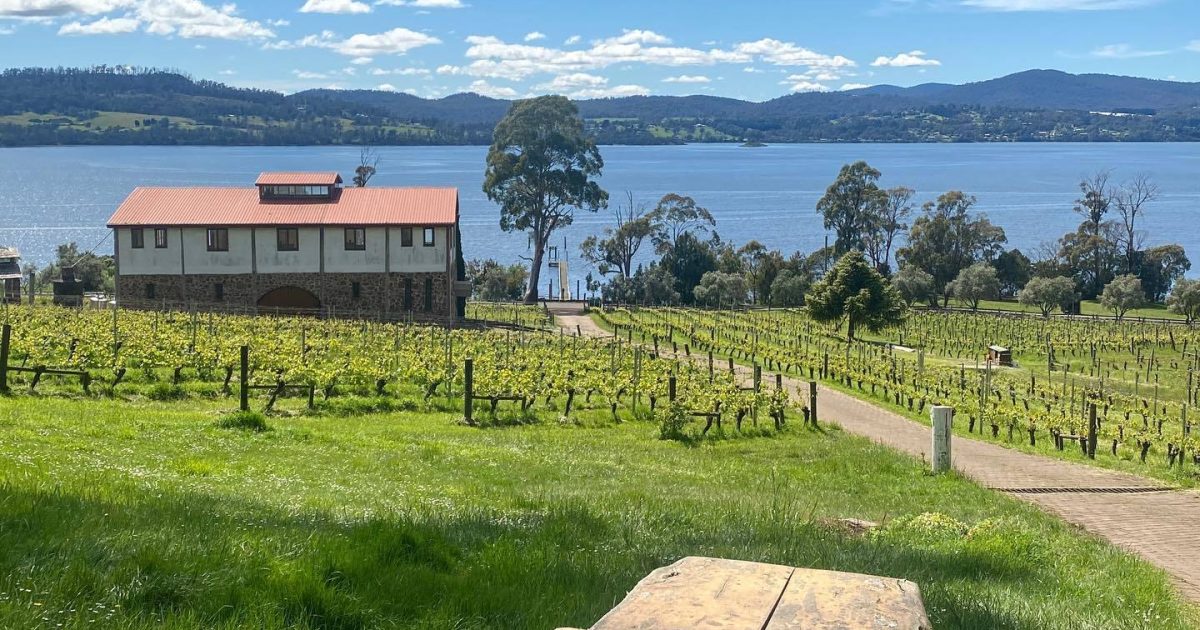 Visit Northern Tasmania | Your guide to experiencing the Tamar Valley